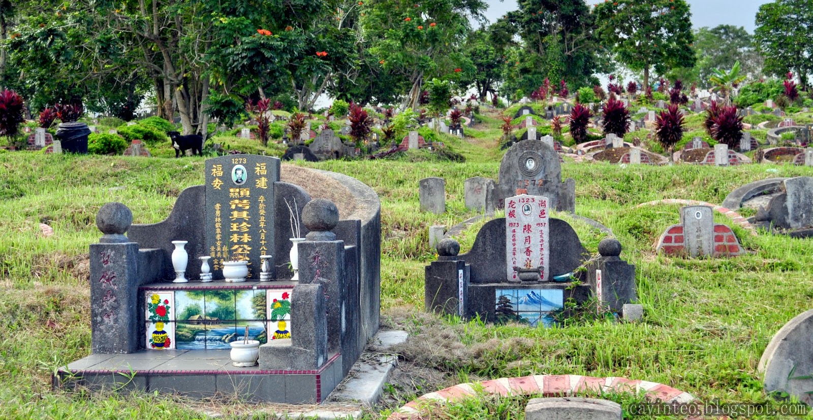 Entree Kibbles: Block 3D [1973-1983] @ Choa Chu Kang Chinese Cemetery